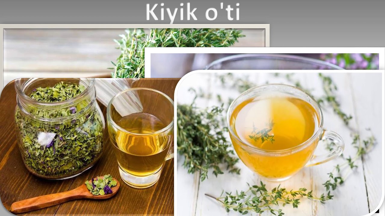 Kiyik o'ti -- qon bosimi ni tushiruvchi tabiiy vosita ⋆ WWW.SAVOL-JAVOB.COM